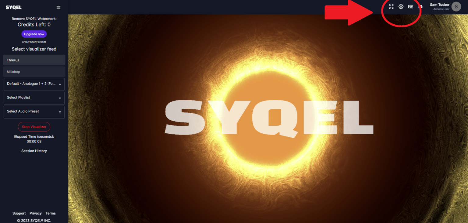 Visualizer Settings - SYQEL Support